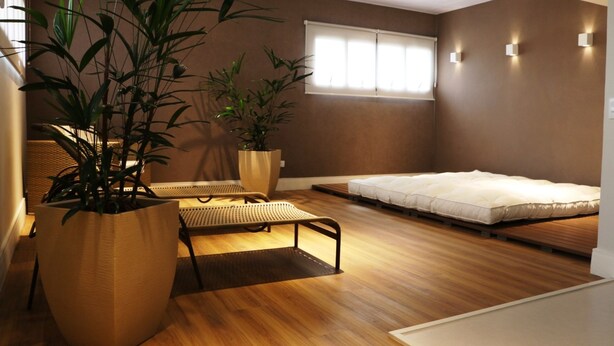 Quarto moderno com cama, um pequeno espaço de estar e duas grandes plantas em vasos.