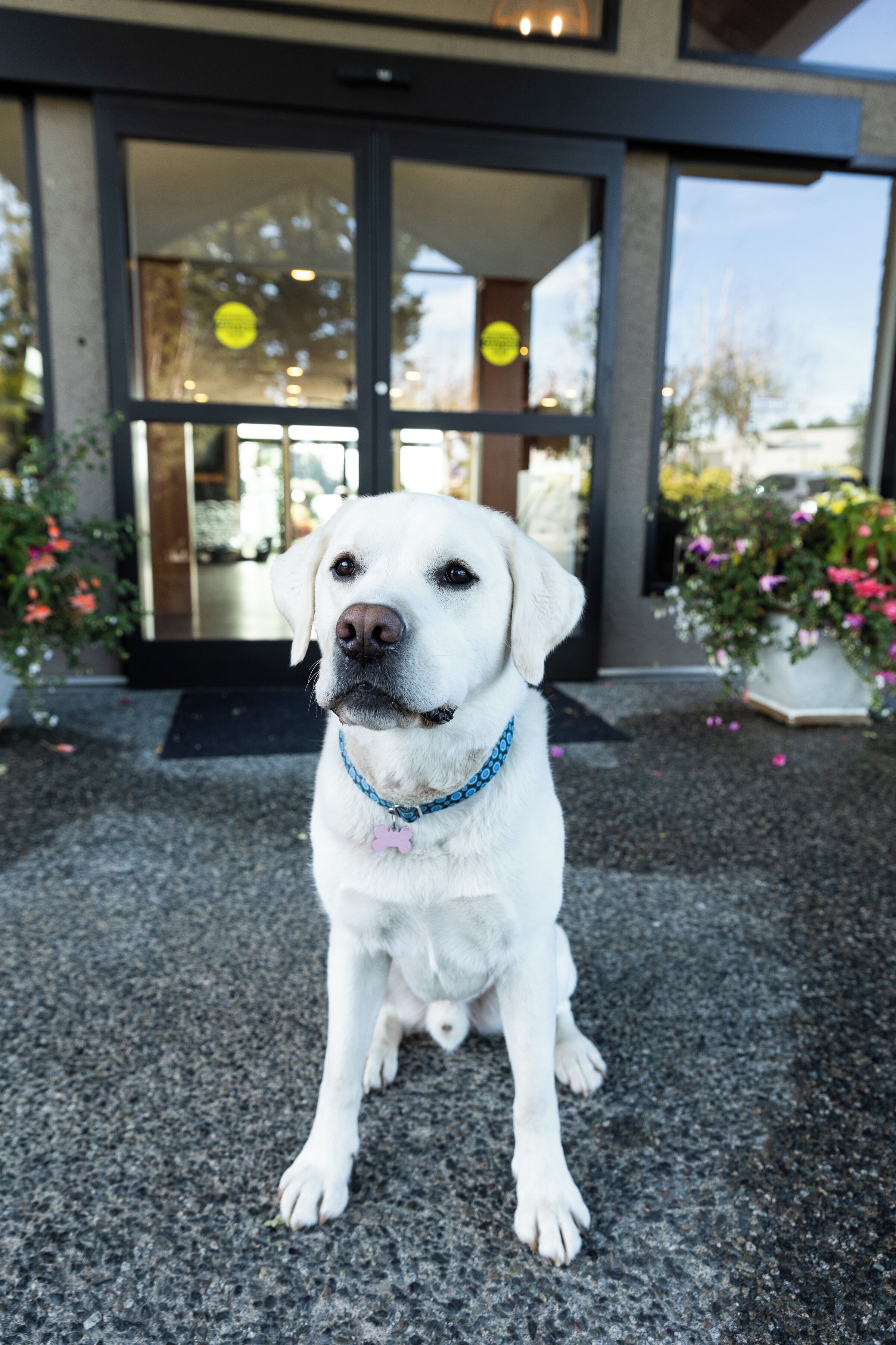 Entrada da propriedade