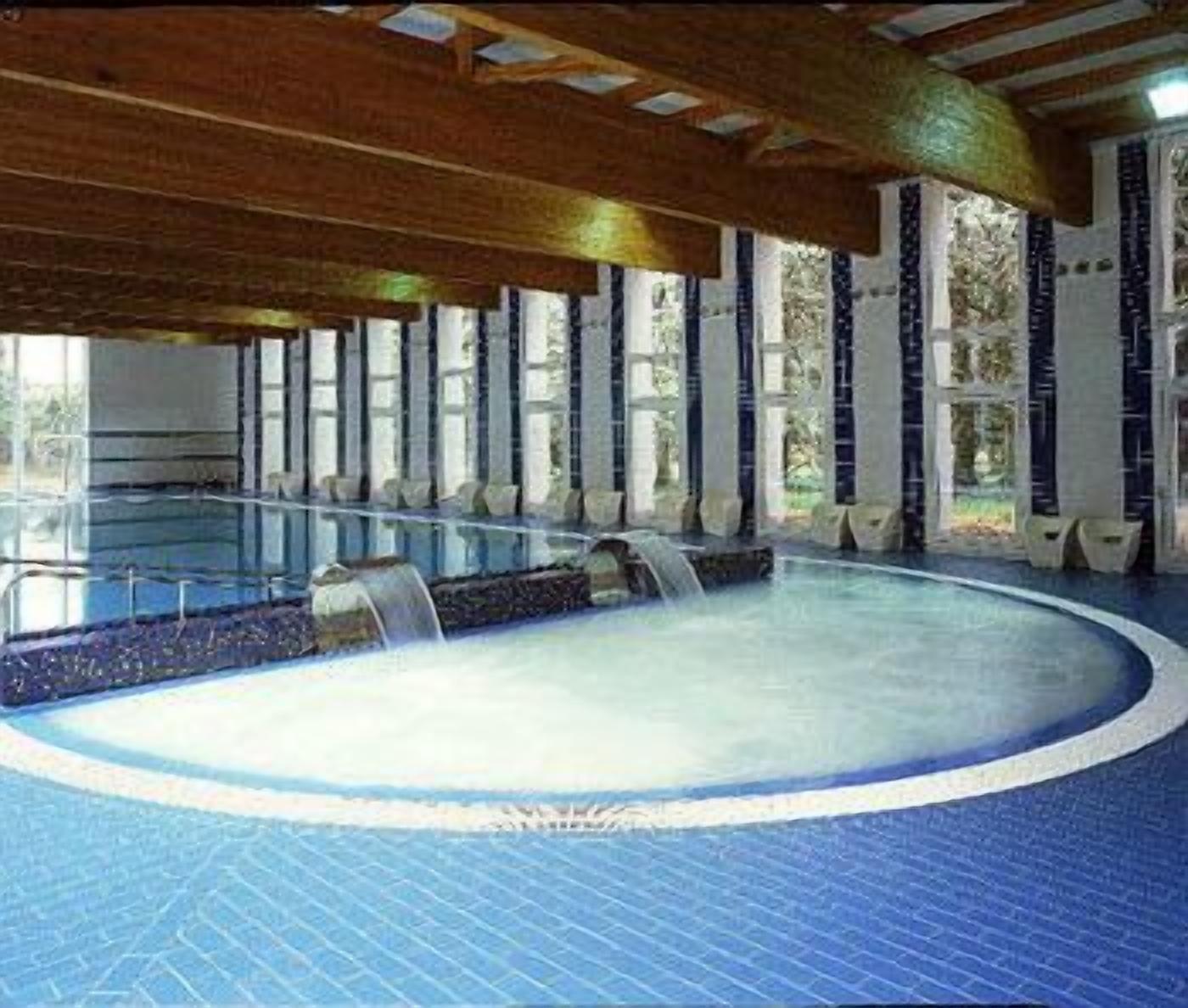 Piscina interna com piso em azulejo e teto de madeira.