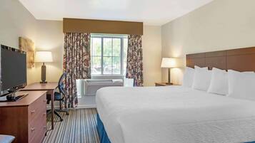 Suite, 1 cama king-size, não fumadores, frigorífico e micro-ondas | Secretária, ferro/tábua de engomar, internet de alta velocidade