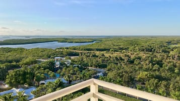 Vista de uma varanda com paisagem exuberante, com um corpo d'água, vegetação densa e o horizonte distante da cidade.