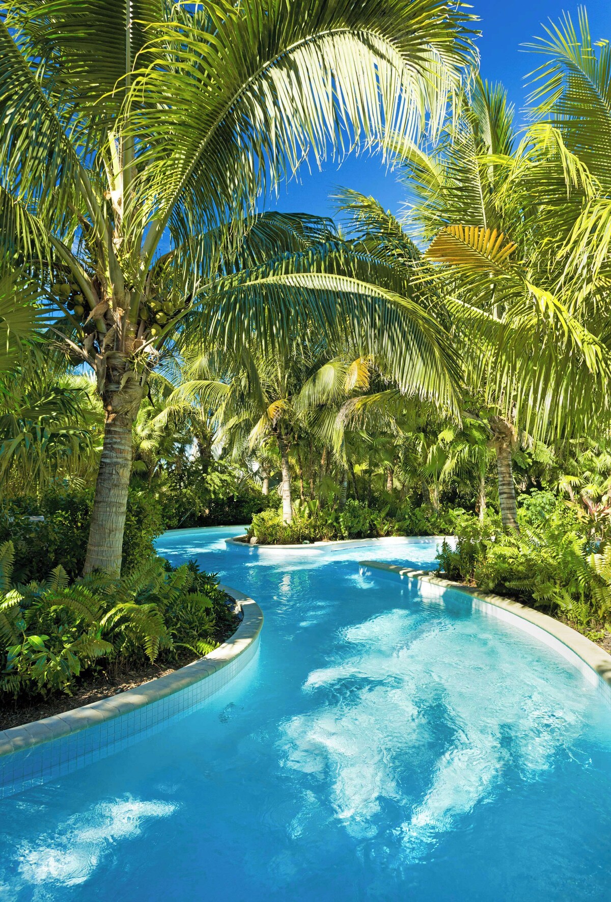 Hyatt Regency Coconut Point Resort & Spa Reviews, Deals & Photos 2026 ...