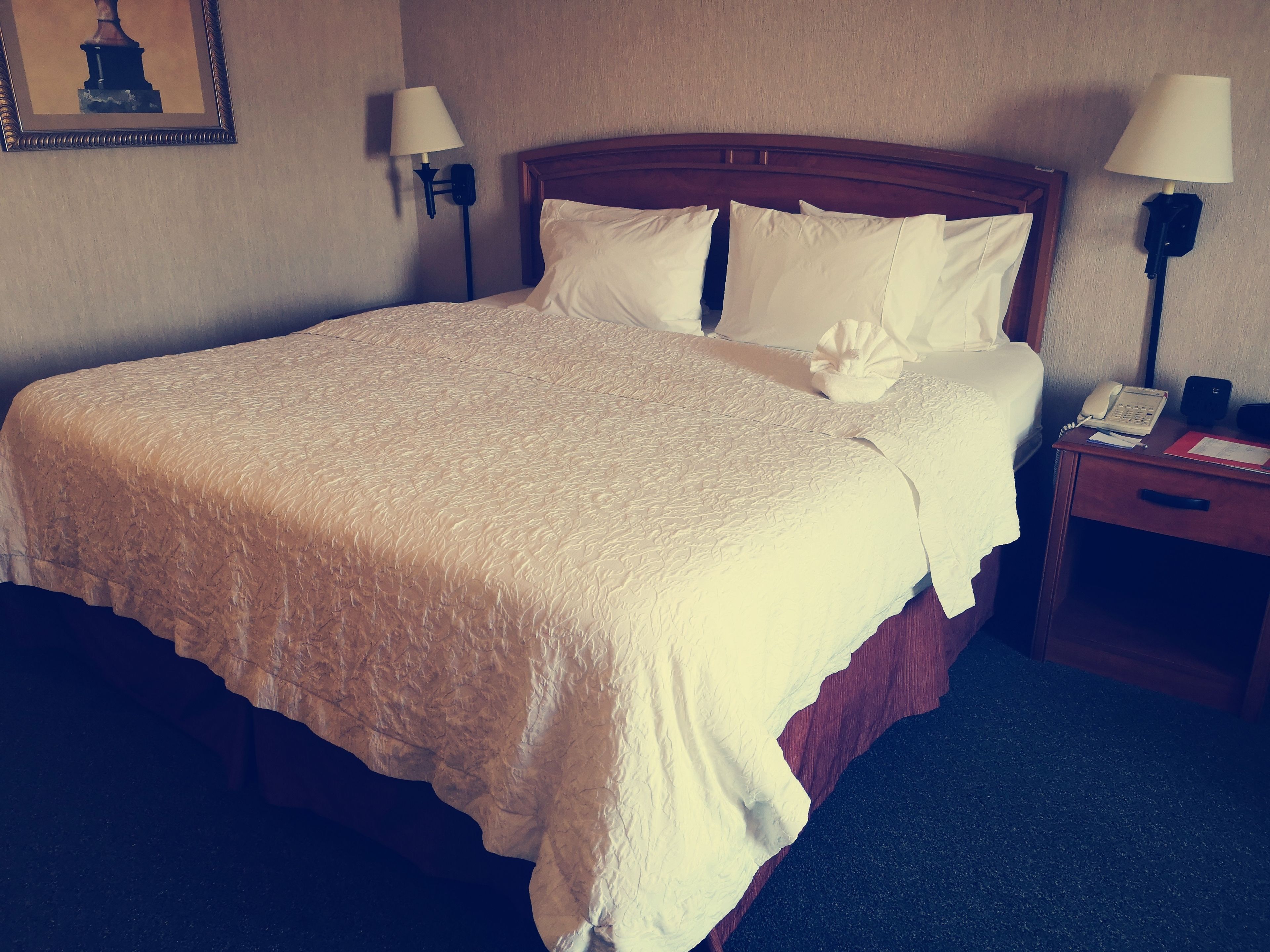 Hampton by Hilton Saltillo en Saltillo: ver hotel, precios y opiniones ...