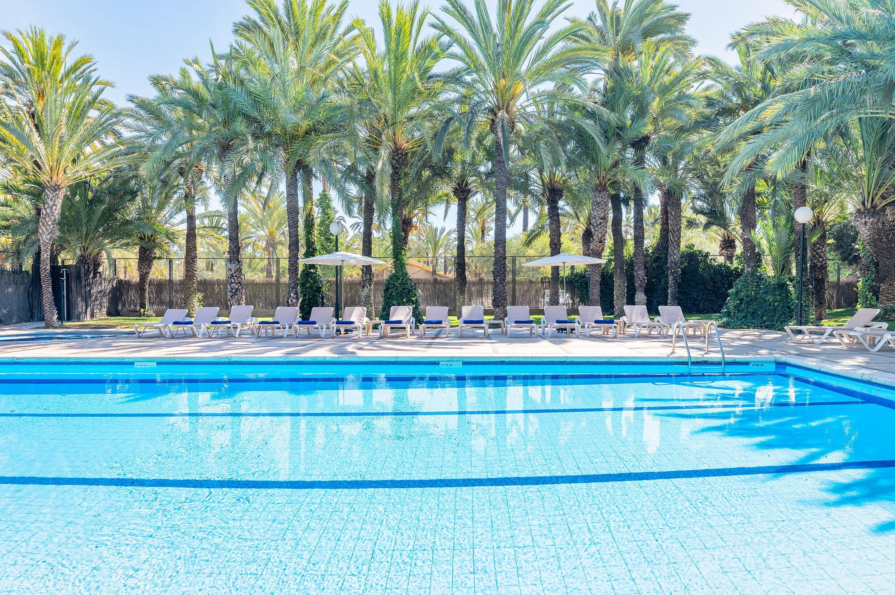 Piscina com espreguiçadeiras e guarda-sóis, cercada por palmeiras.