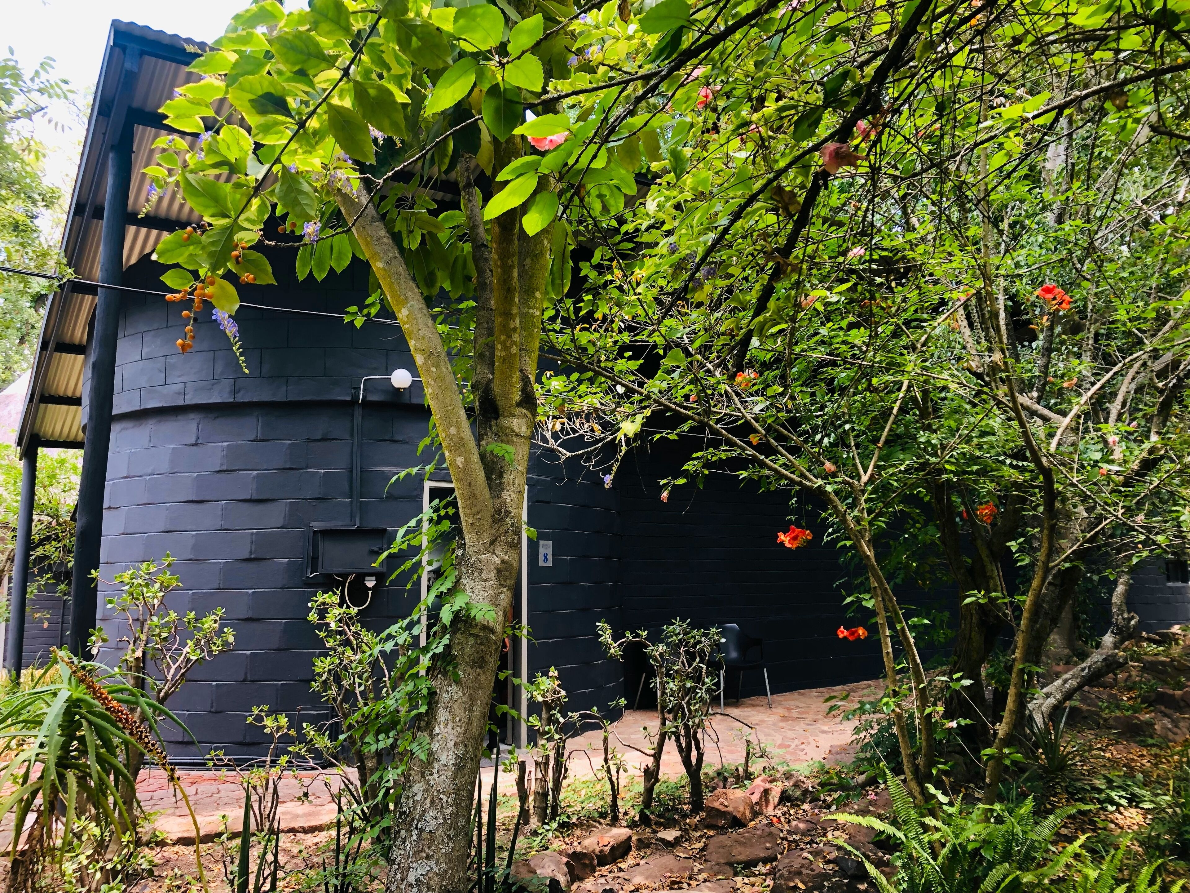 Um edifício com fachada preta, cercado por vegetação exuberante e árvores.