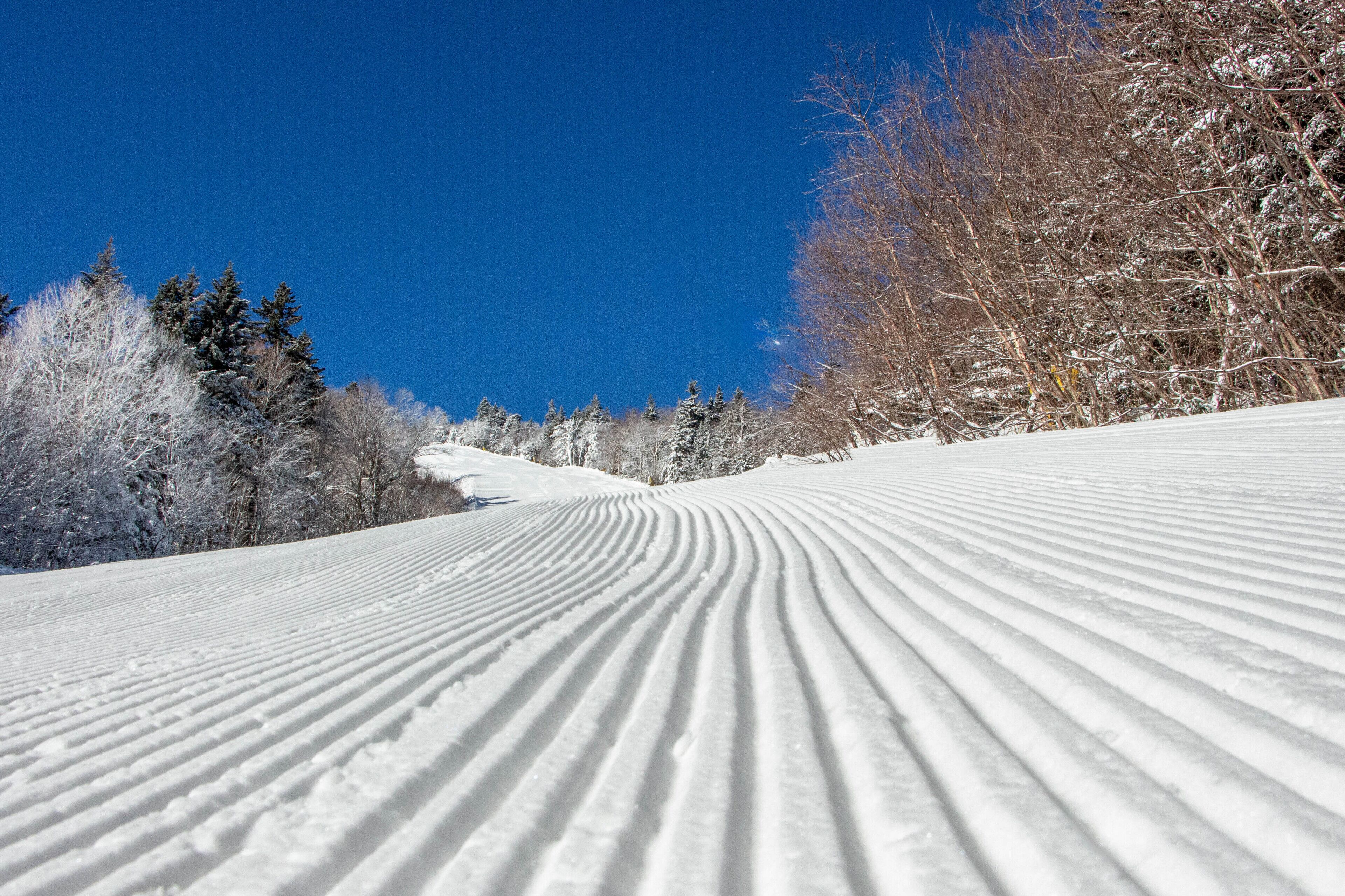 Pista de esqui coberta de neve com árvores em ambos os lados e um céu azul claro.