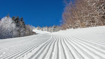 Pista de esqui coberta de neve com árvores em ambos os lados e um céu azul claro.