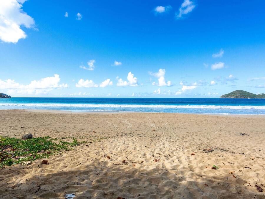 Uma praia com céu azul límpido e ondas do oceano.