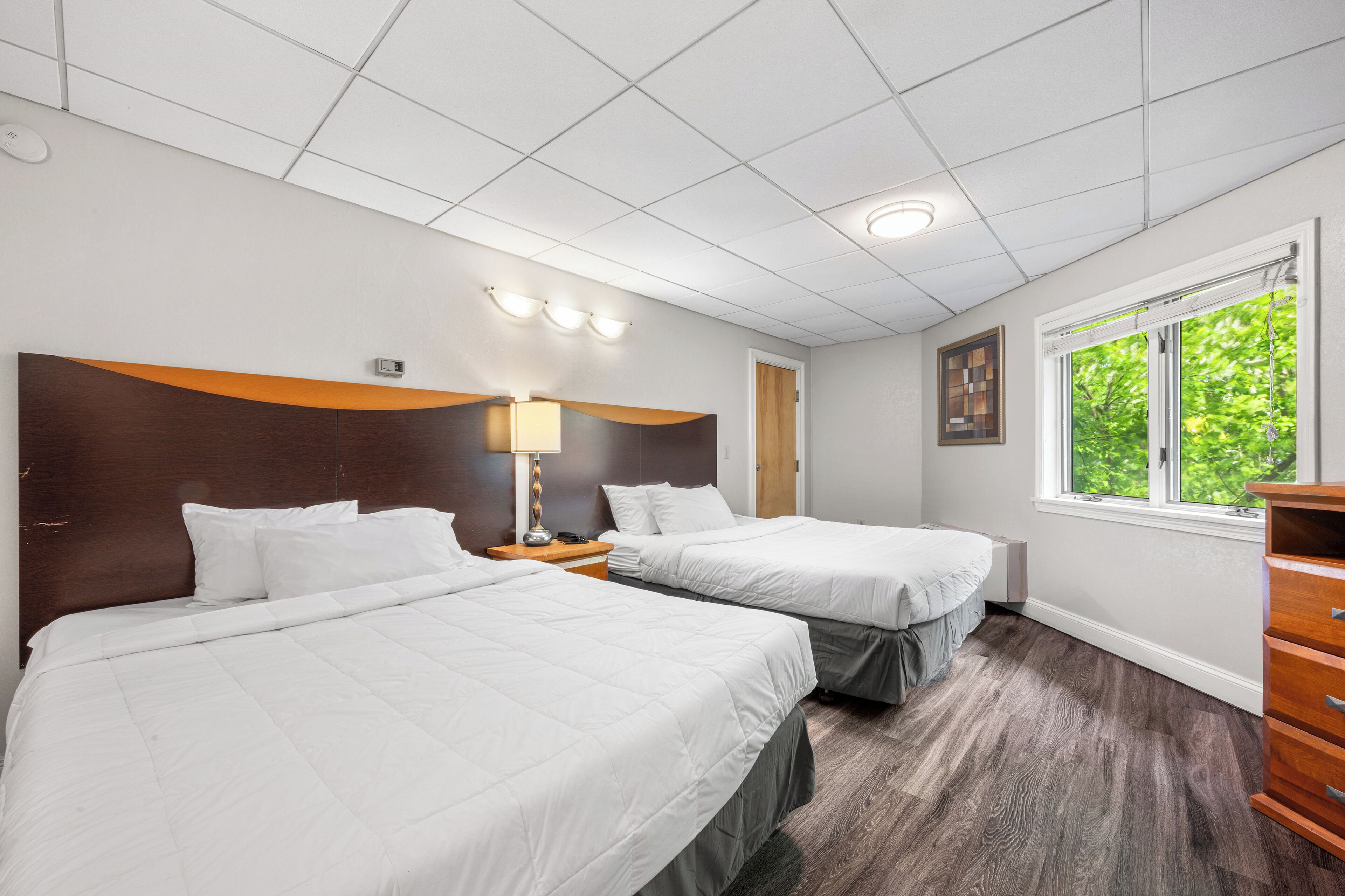 Cofres nos quartos, ferros/tábuas de passar roupa, Wi-Fi de cortesia