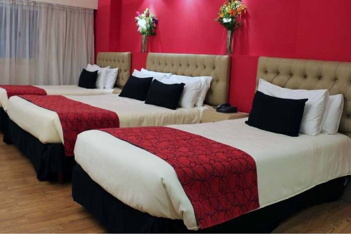 Quarto Quádruplo Standard | Roupa de alta qualidade, edredões de penas, camas de colchão pillowtop 