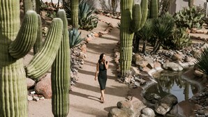 Uma mulher caminhando por um jardim no deserto, com cactos e um pequeno elemento de água.