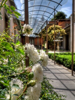 Jardim