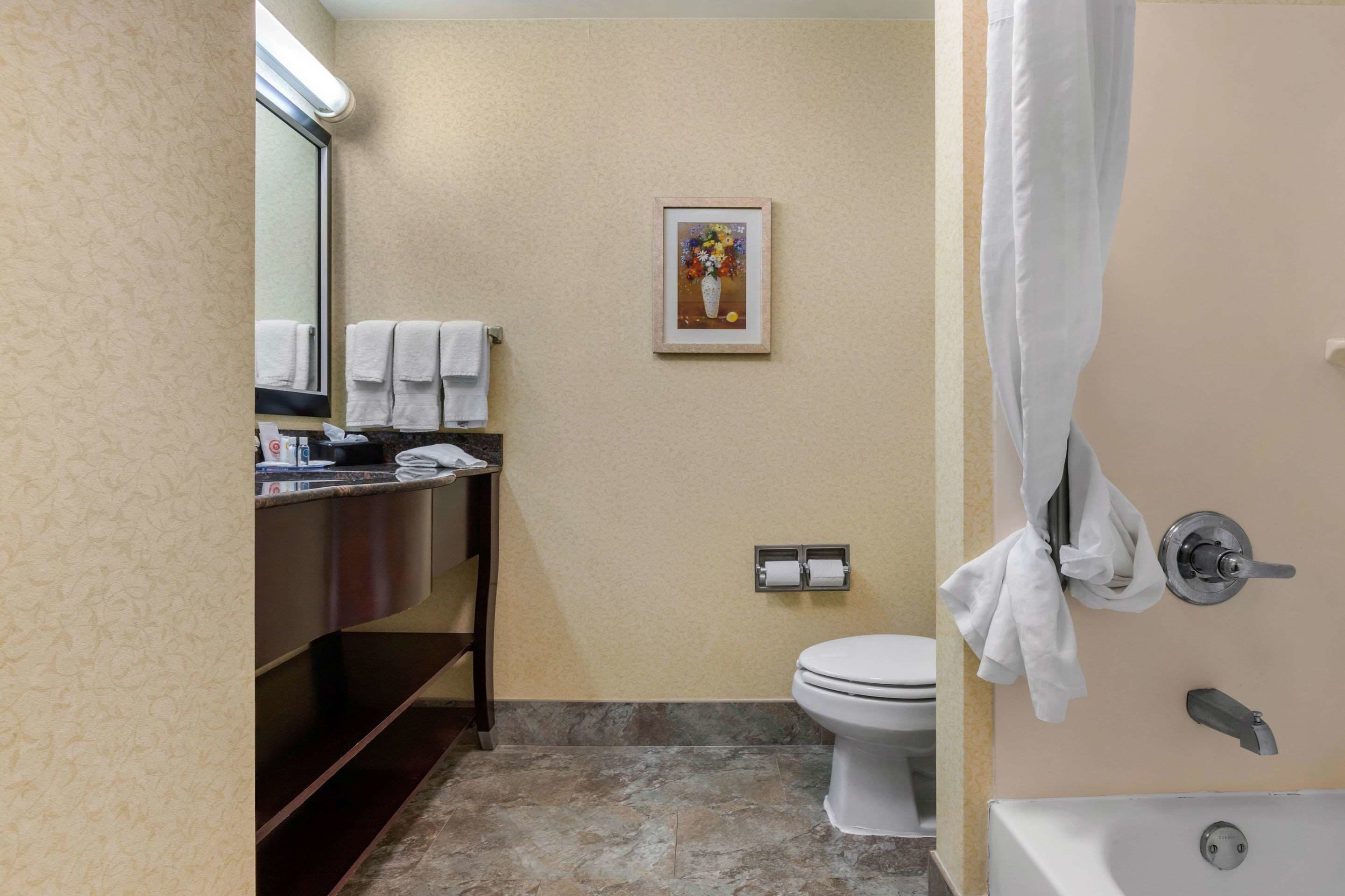 Casa de banho com sanita, lavatório e banheira. Tem um suporte para toalhas e um quadro na parede.