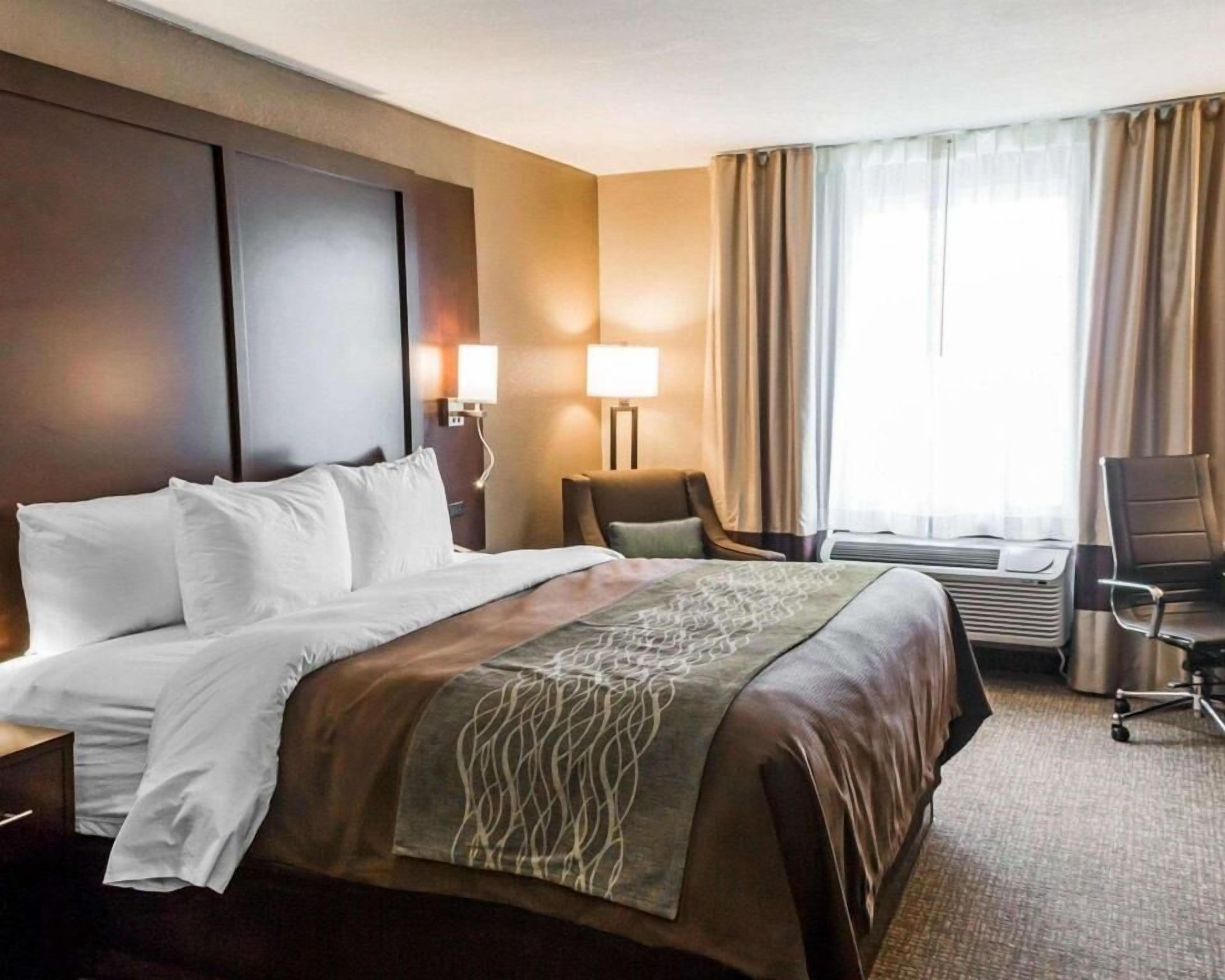 1 quarto, roupas de cama premium, edredons de pluma