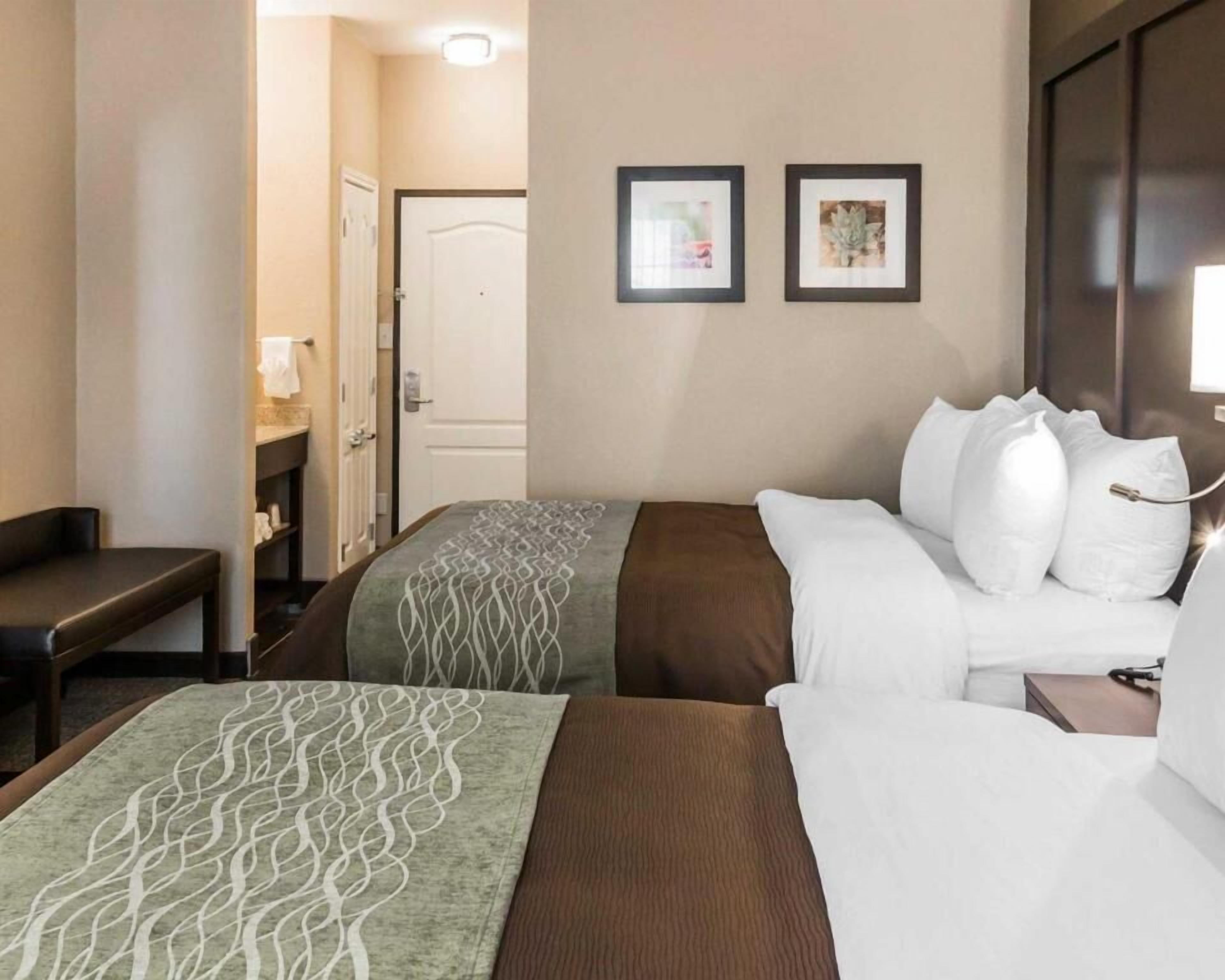 1 quarto, roupas de cama premium, edredons de pluma