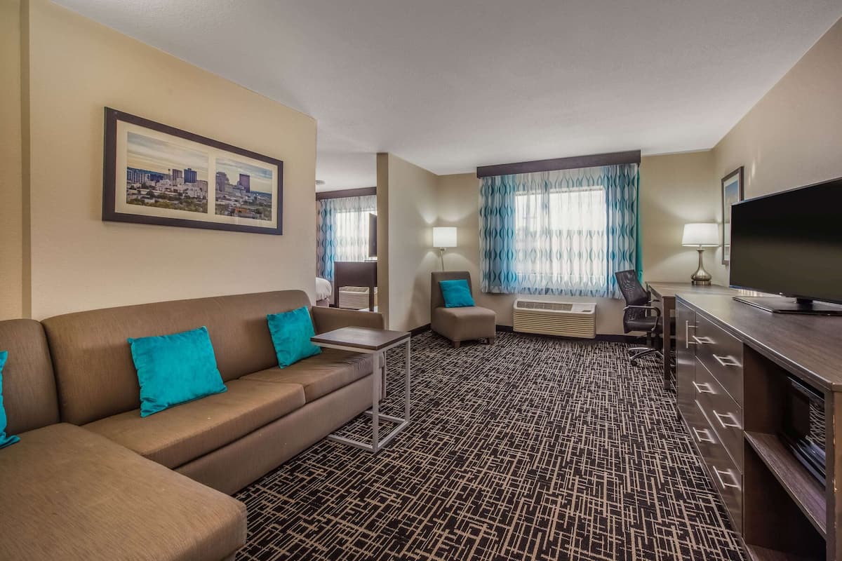 Quarto de hotel com sofá, escrivaninha, televisão e carpete estampado.