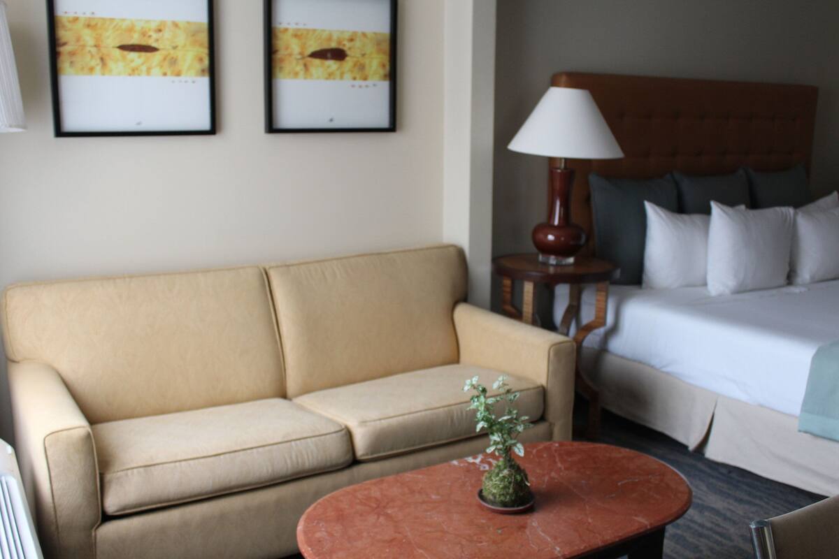 Quarto de hotel com sofá bege, mesa redonda com uma planta, cama com roupa de cama branca e duas molduras na parede.