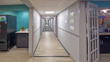 Entrada
