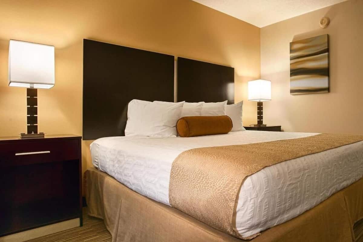 Escrivaninha, cortinas blackout, ferros/tábuas de passar roupa