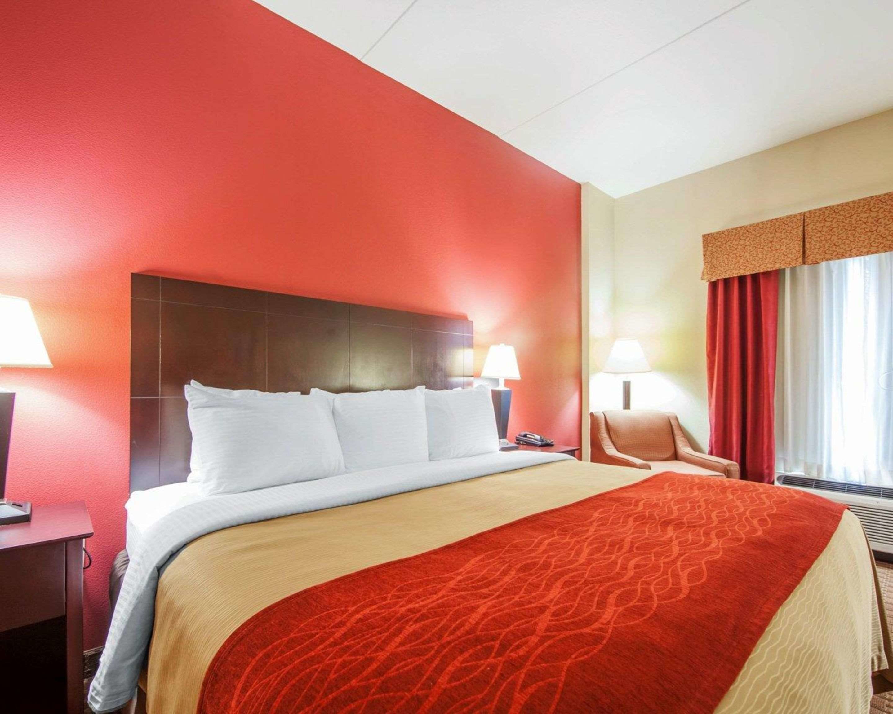 Roupas de cama premium, edredons de pluma, cortinas blackout