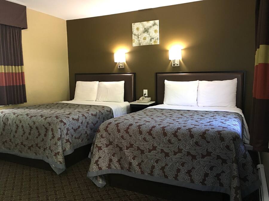 Quarto de hotel com duas camas, cada uma com colcha estampada e almofadas brancas. Há luminárias fixadas na parede e um quadro sobre as camas.