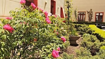 Jardim