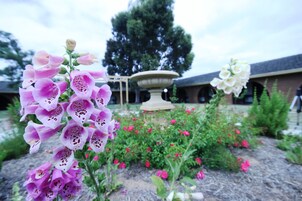 Jardim