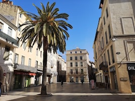 Uma rua com palmeira, edifícios e lojas.