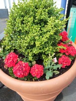 Entrada da propriedade