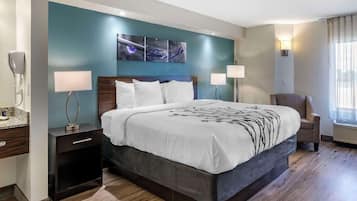 Quarto standard, 1 cama King, para não fumantes | Escrivaninha, espaço de trabalho para notebook, quartos à prova de som