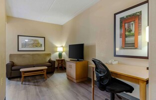 Quarto de hotel com sofá, escrivaninha com cadeira, televisão, armário pequeno, quadro na parede e abajur.