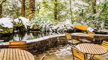 Terrenos do alojamento