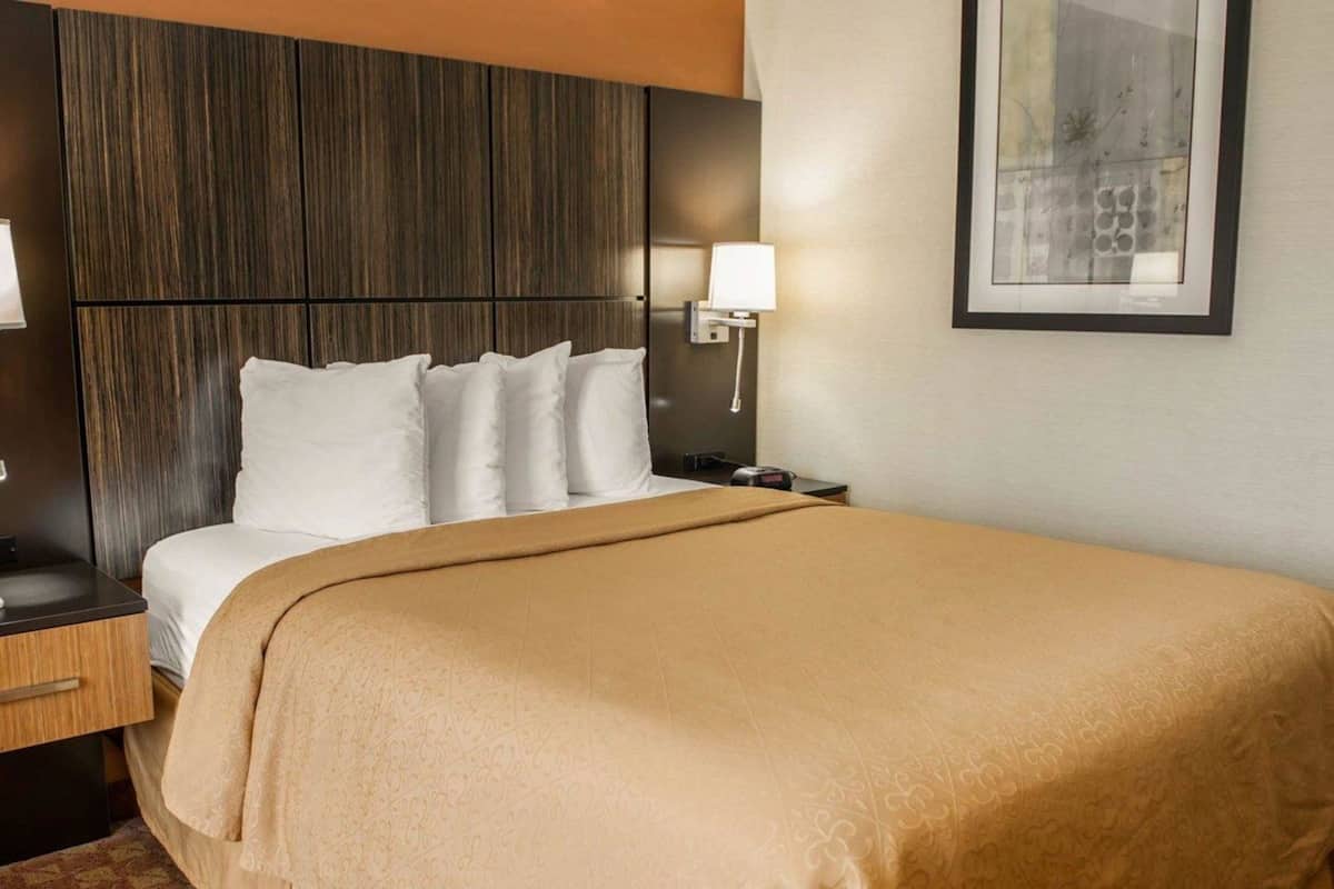 Quarto de hotel com uma cama, mesa de cabeceira, luminária e um quadro na parede.