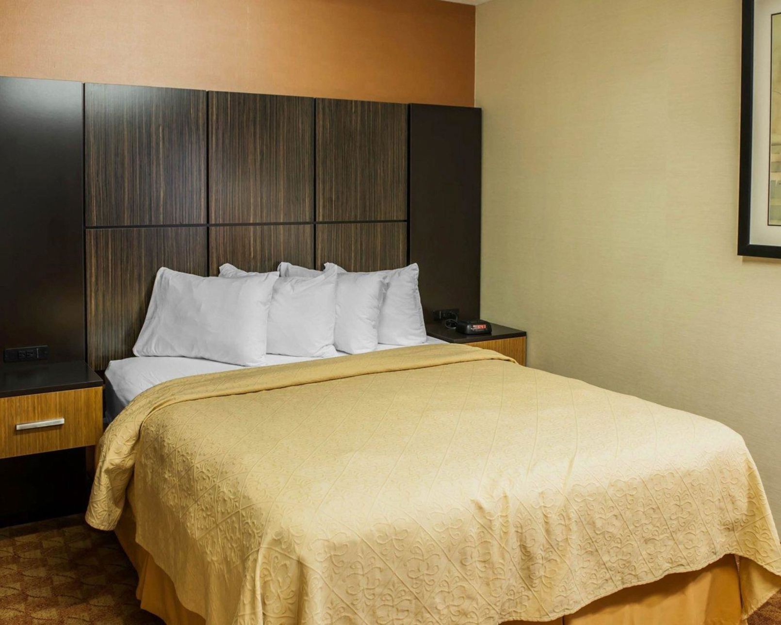 1 quarto, edredões de penas, camas de colchão pillowtop 