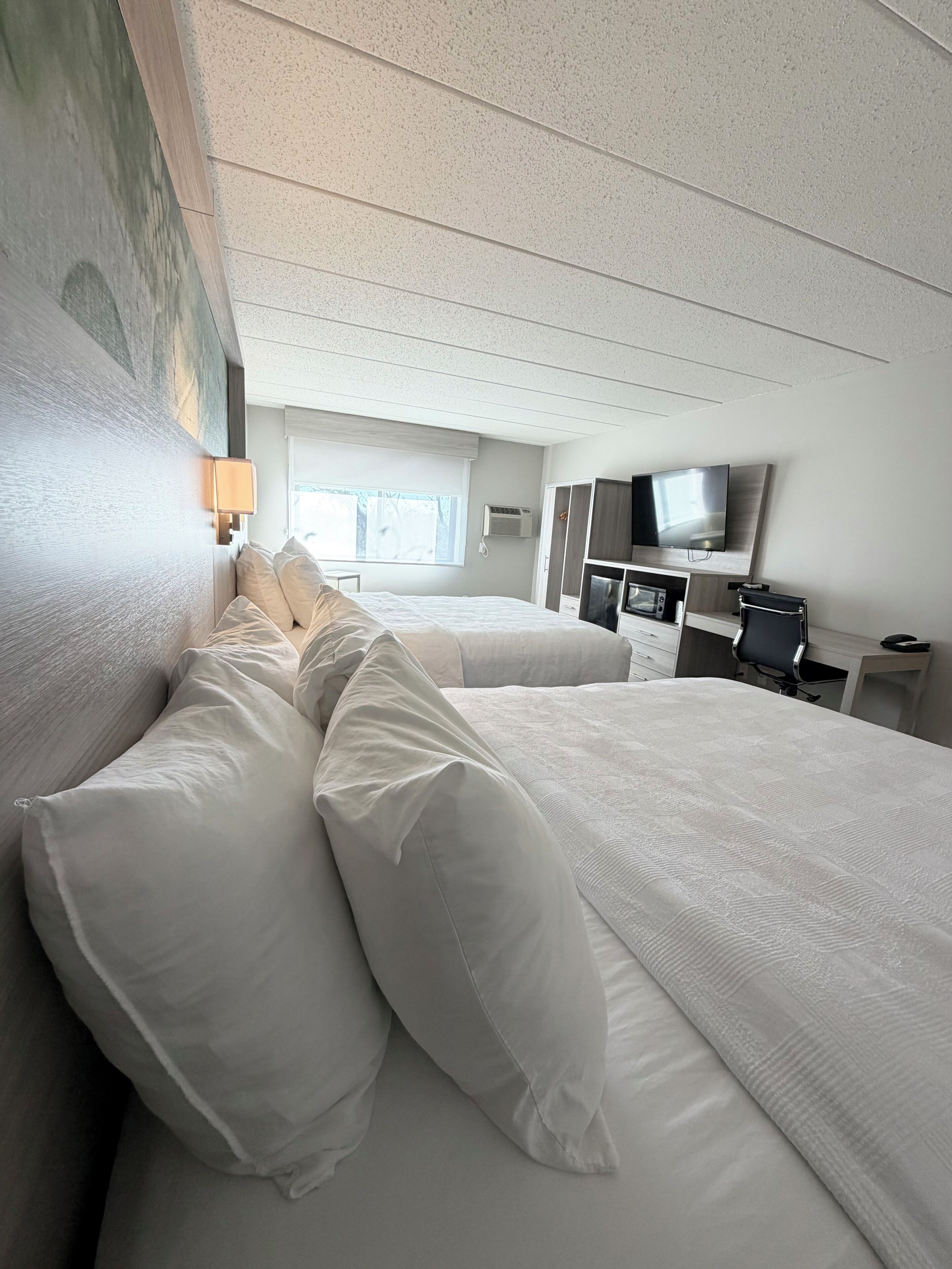 Quarto de hotel com duas camas, televisão, micro-ondas e escrivaninha com cadeira.