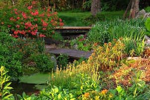 Um jardim com uma ponte de madeira, diversas plantas e um lago.
