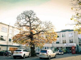 Fachada da propriedade