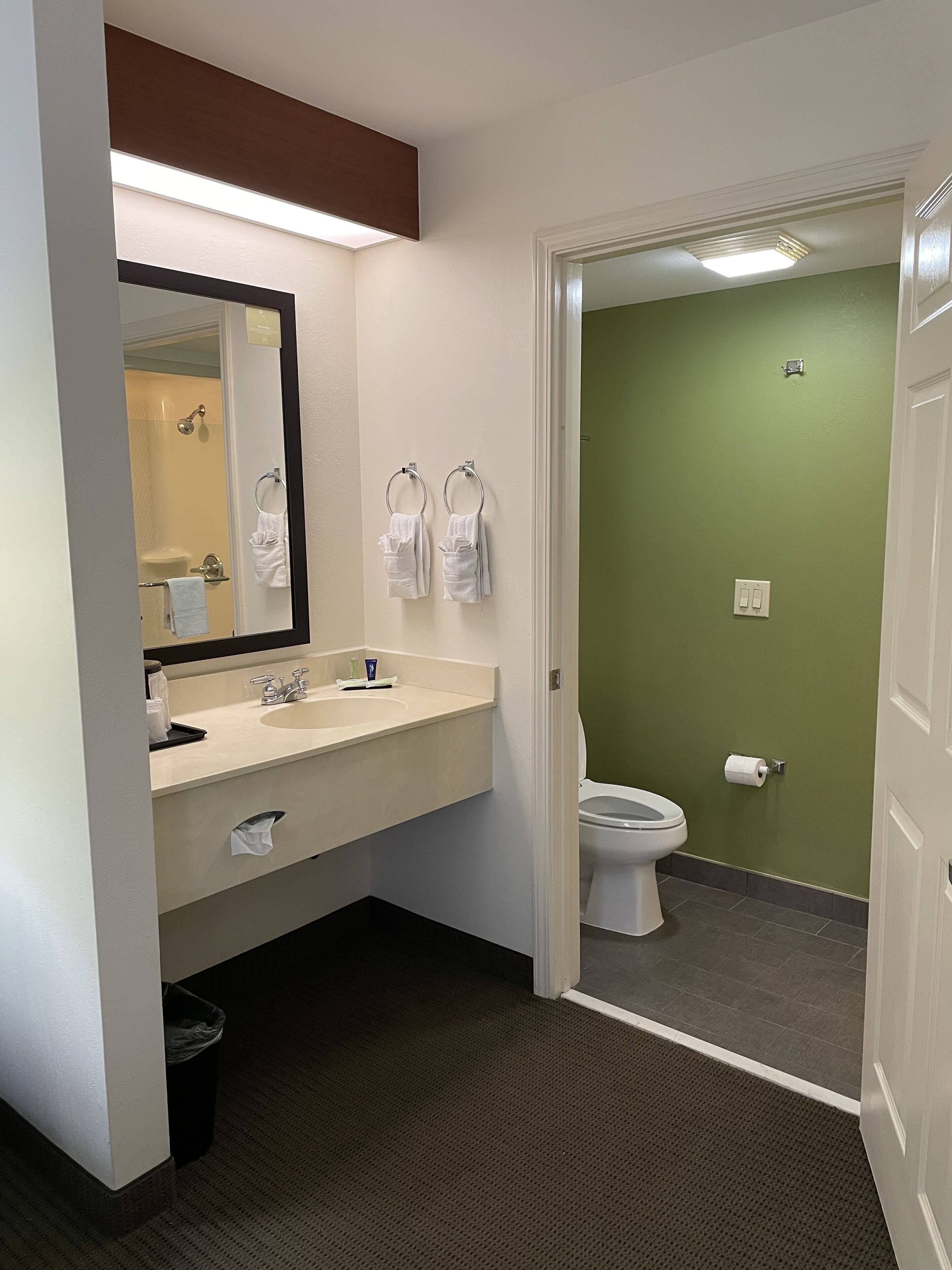 Quarto standard, 1 cama King, para não fumantes | Banheiro | Chuveiro, produtos de toalete grátis, secador de cabelo 