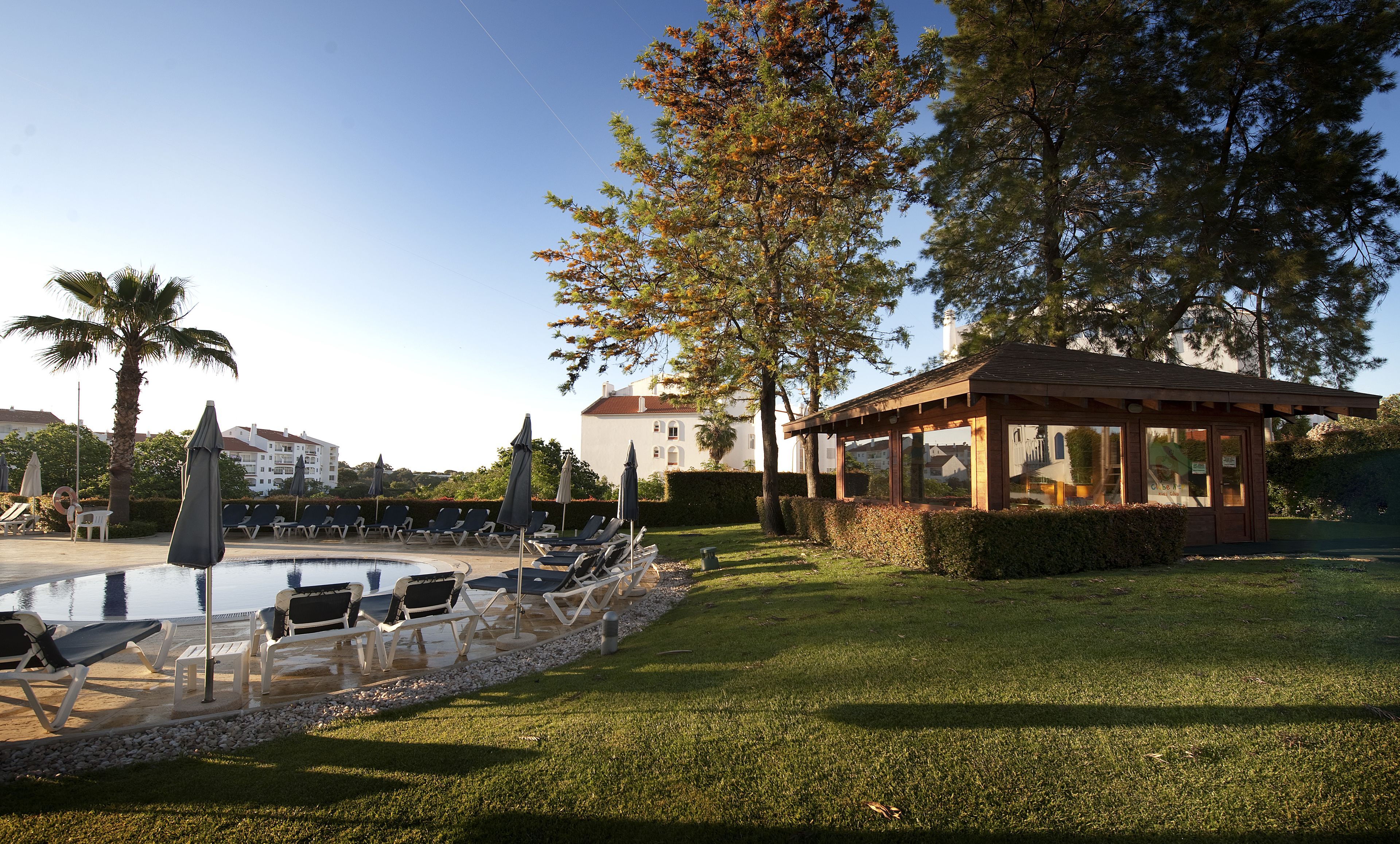Uma área à beira da piscina com espreguiçadeiras e guarda-sóis, um gazebo de madeira e uma grande árvore.