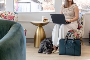 Uma pessoa sentada em uma cadeira estampada com flores, um laptop, uma pequena mesa com uma xícara, e um cão no chão.