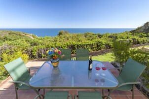 Apartamento Premium, 2 quartos | Terraço/pátio interior