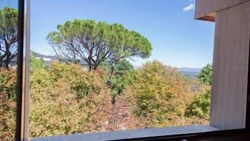 Vista do quarto