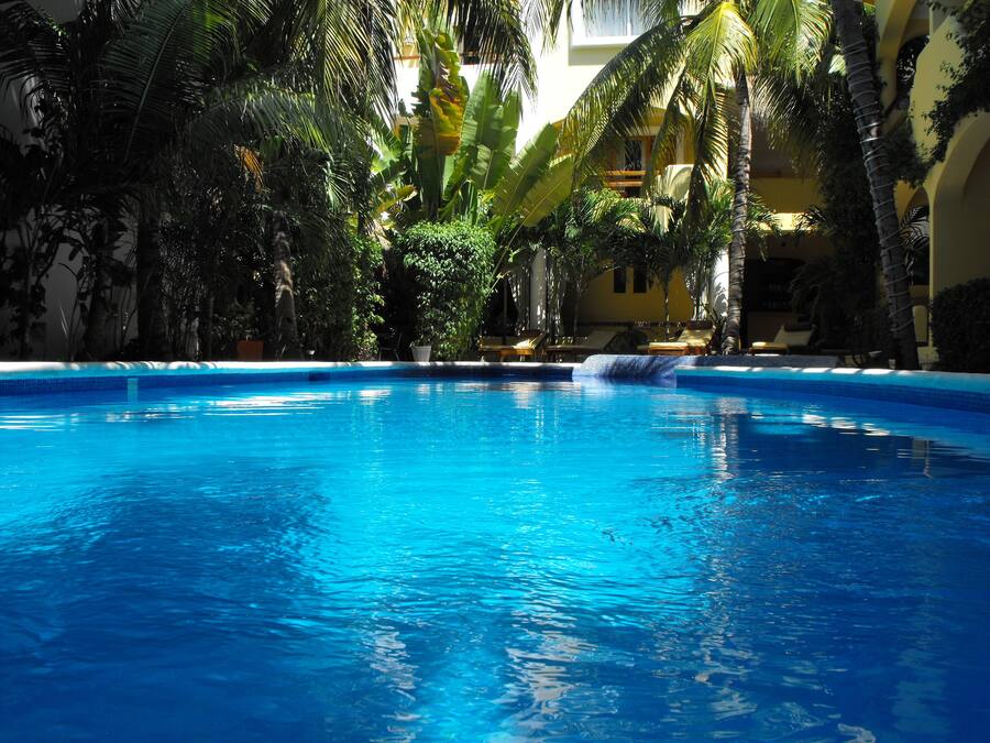 Piscina externa