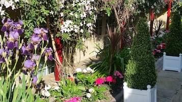 Vista para o jardim