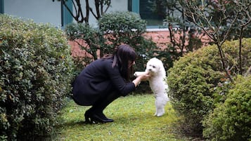 Aceita animais de estimação