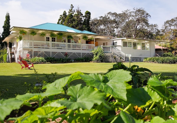 Aloha Junction Bed And Breakfast - Hawaï