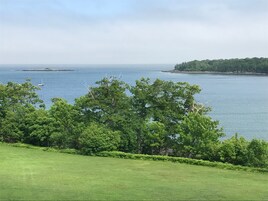 Paisagem costeira com primeiro plano gramado, corpo d'água e uma ilha distante coberta de árvores.