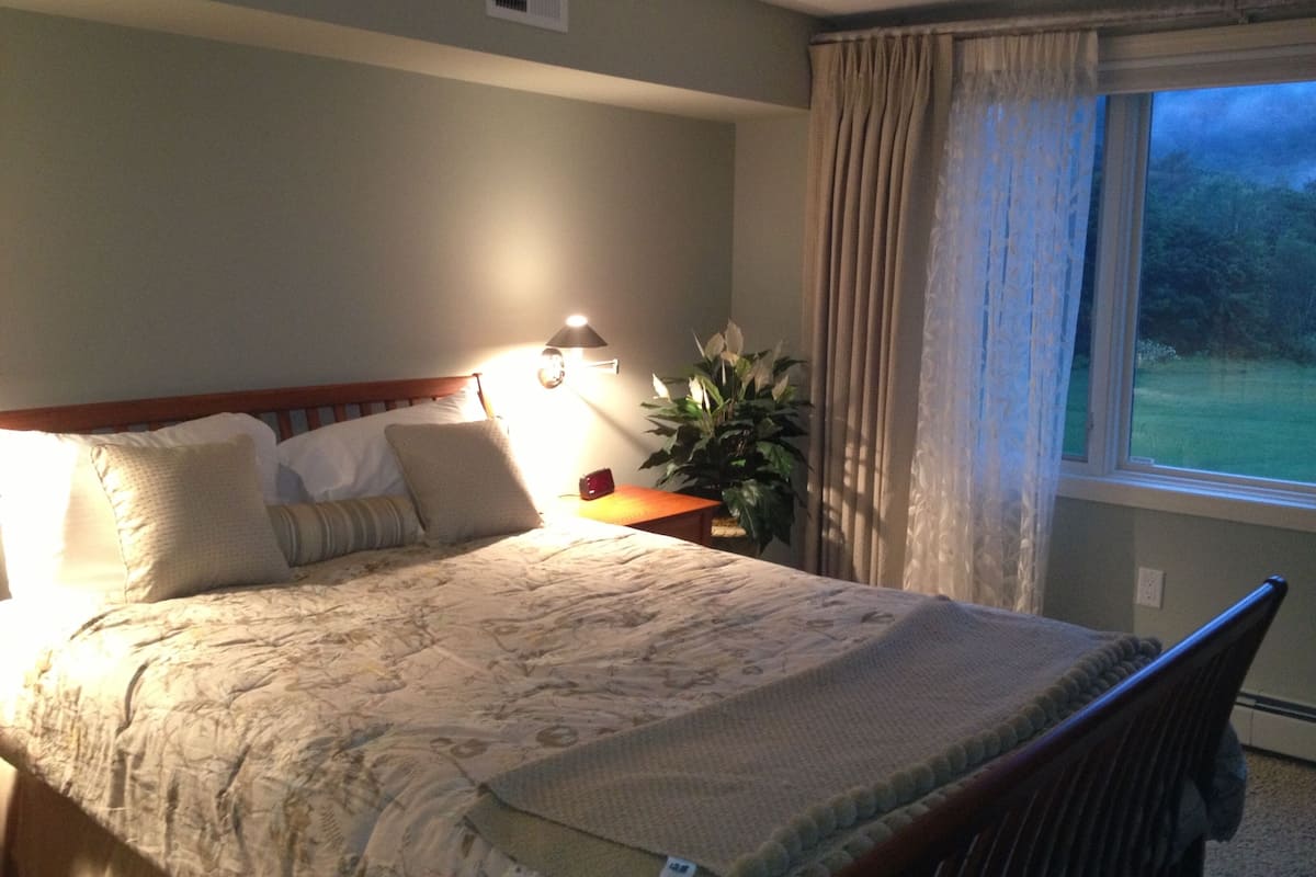 Quarto de hotel com cama, mesa de cabeceira, luminária, janela com cortinas e uma planta.