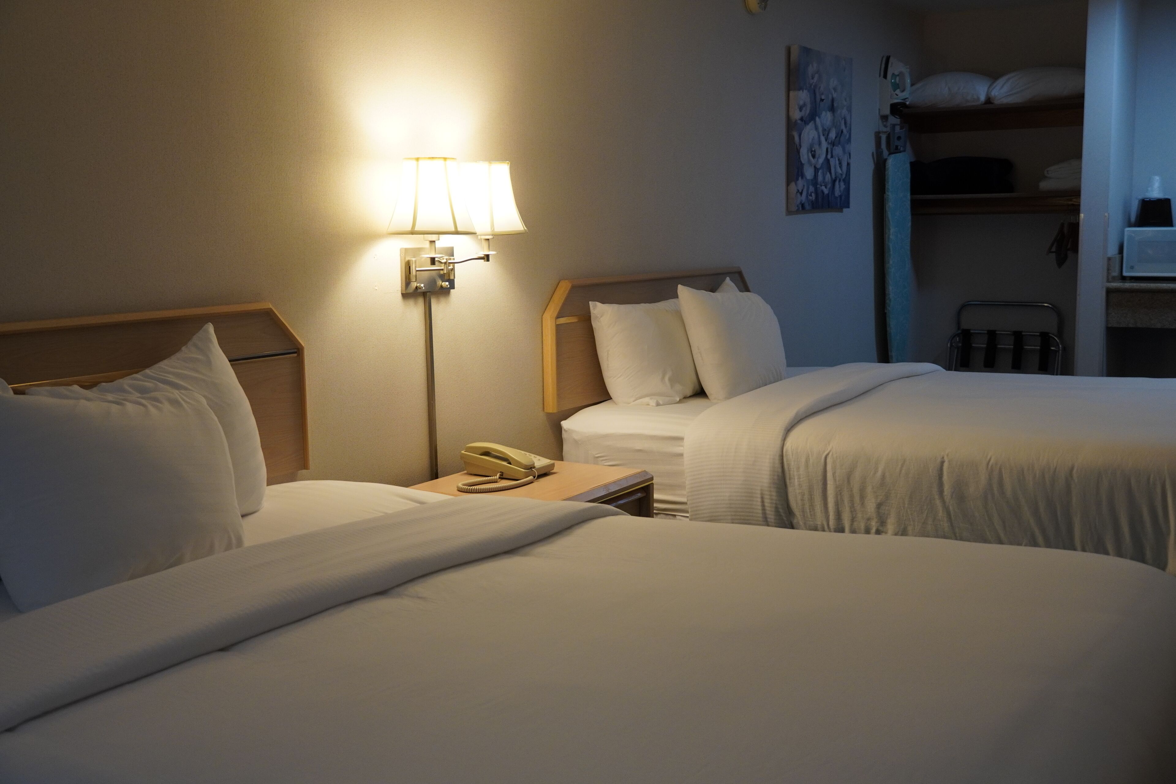 Timberland Inn & Suites Reviews, Deals & Photos 2024 - Expedia