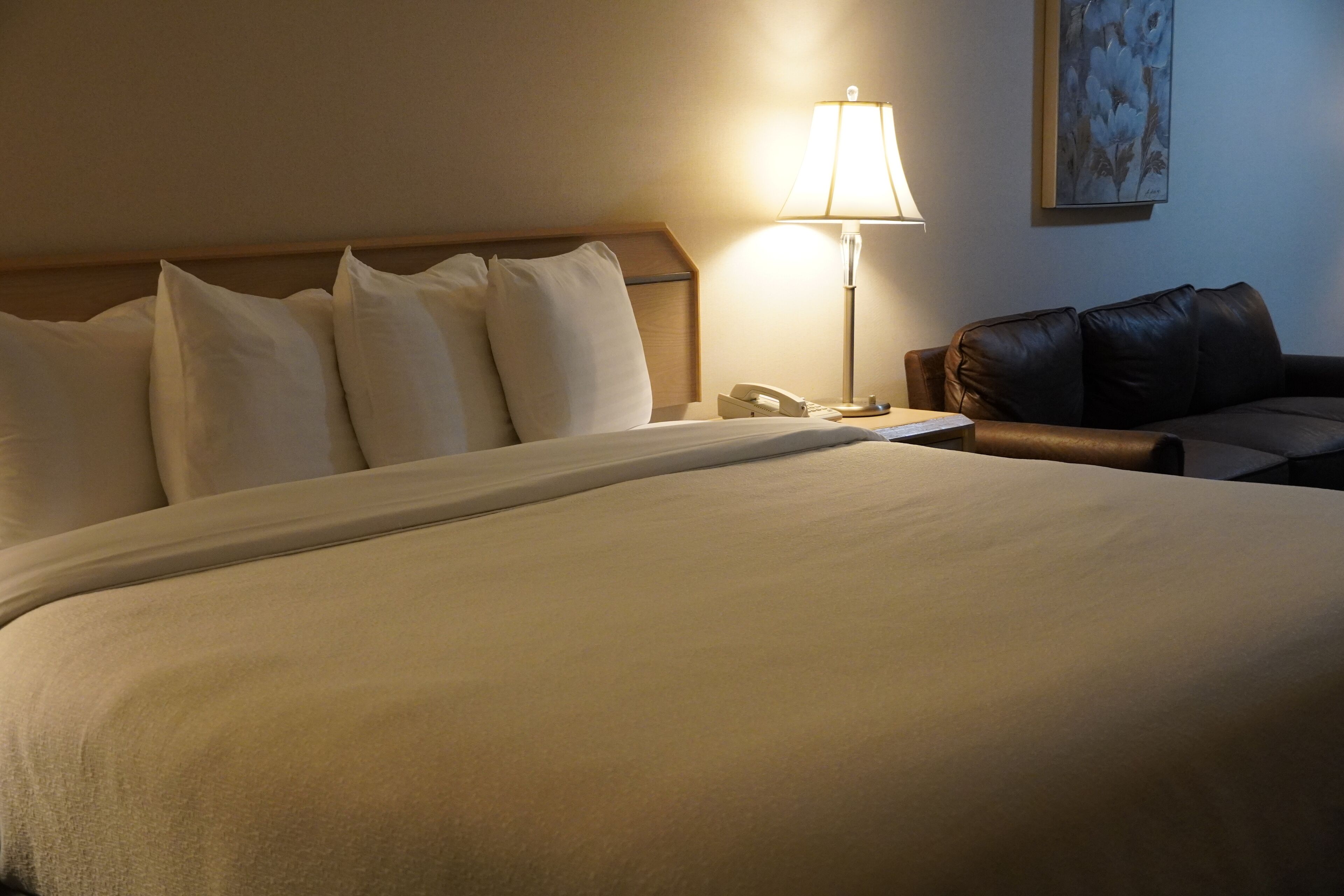 Timberland Inn & Suites Reviews, Deals & Photos 2024 - Expedia